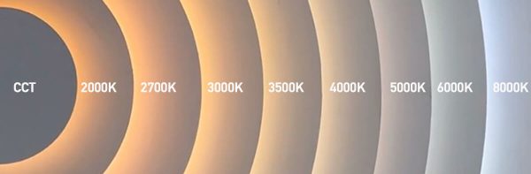 What CCT Should I Choose for LED Strip Lights? - Myledy