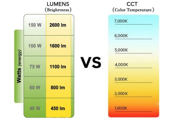 What CCT Should I Choose for LED Strip Lights? - Myledy