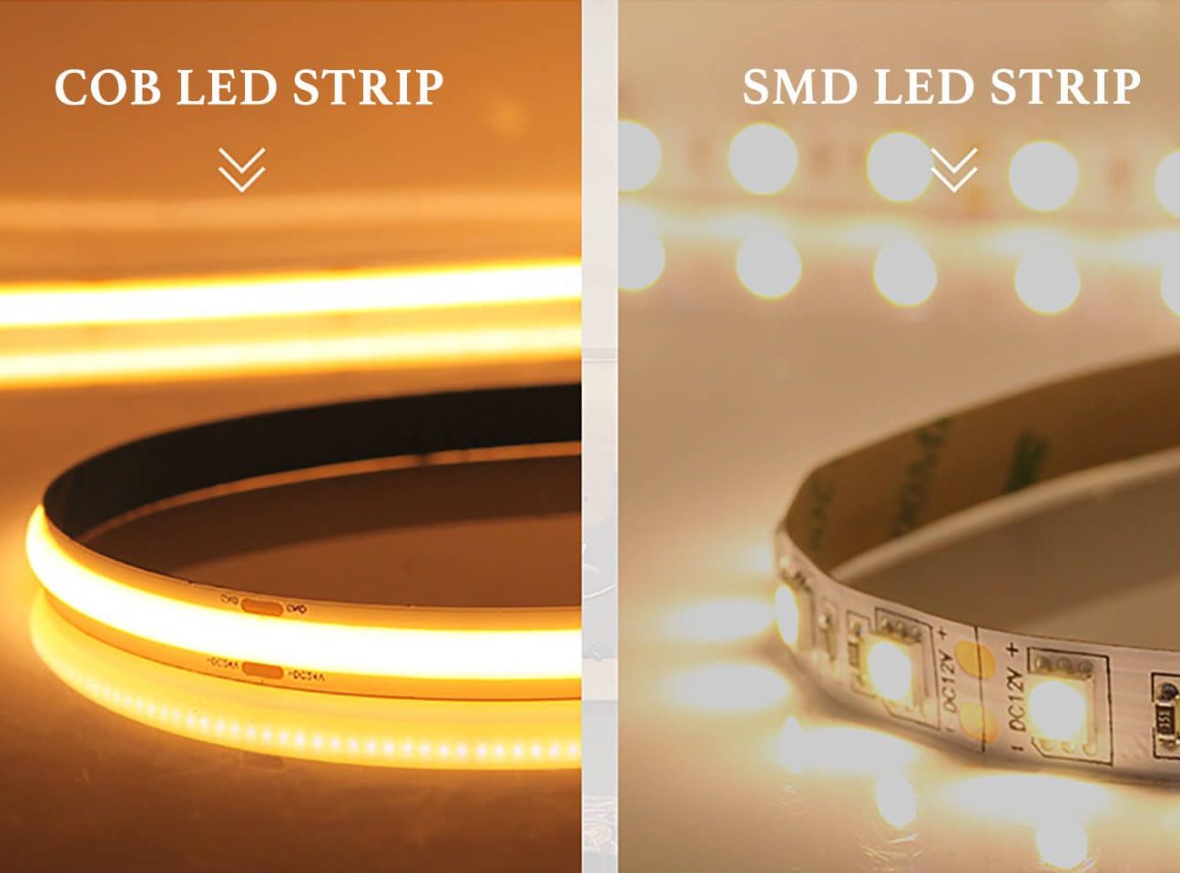COB LED strip light supplier China - Myledy