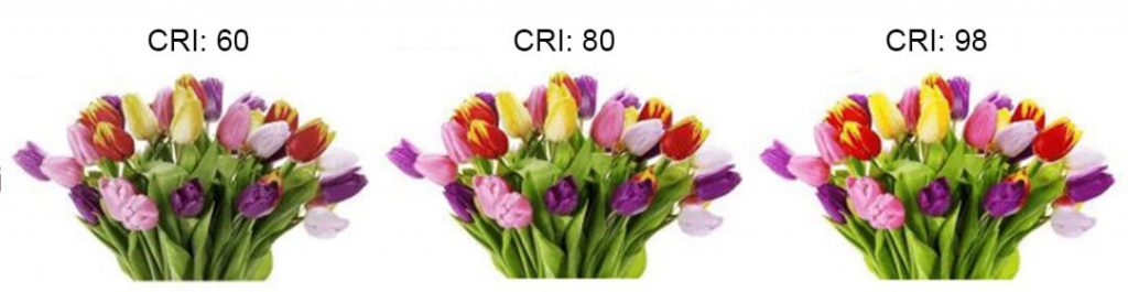 CCT and CRI in LED Lighting Technology - Myledy