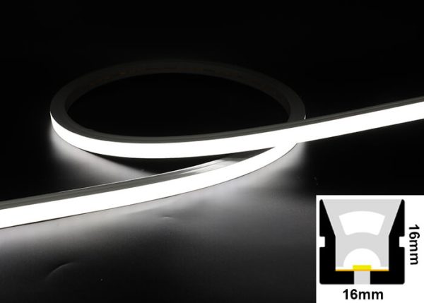 Vertical Bend LED Neon Light - Myledy