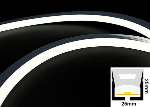 Vertical Bend LED Neon Light - Myledy